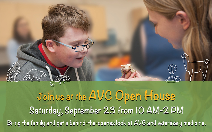 Home | Campus Screens